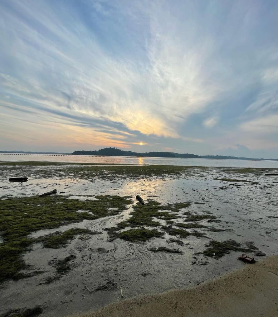 Home – Steve Tunstall