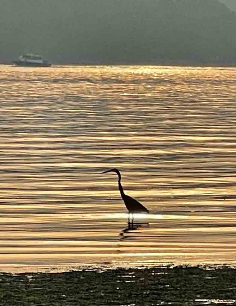 Steve Tunstall – Blogs